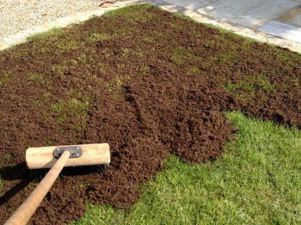 Landscaping - Your Express Handyman Henderson Nevada